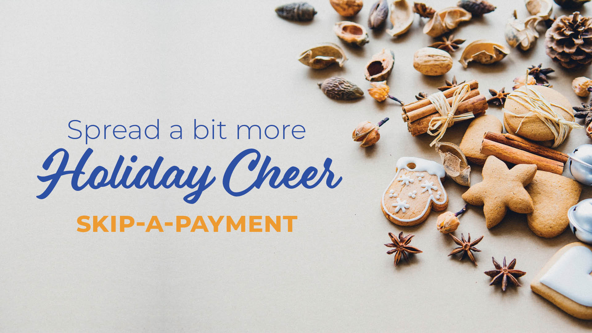 Skip-A-Payment Campaign • Laceyleigh Design